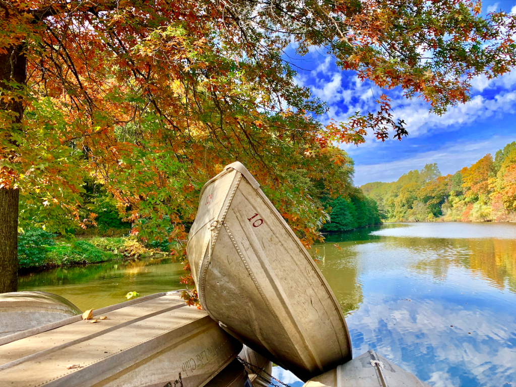 Parks in Staten Island that Locals Love - Staten Island Lifestyle ...