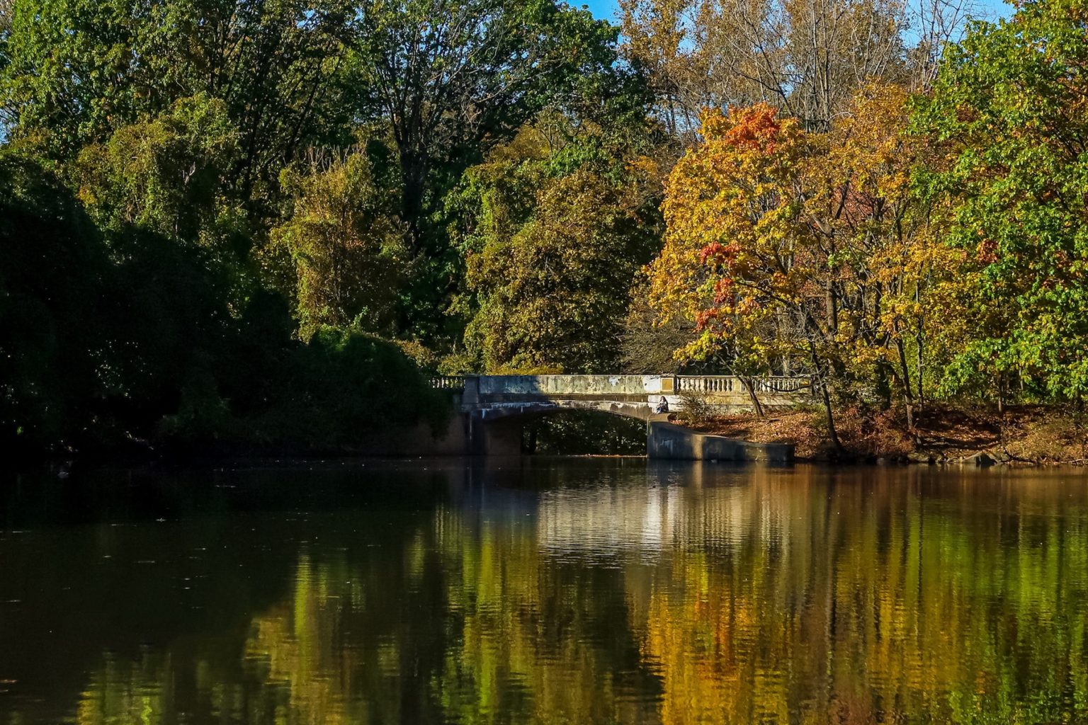 Top Spots to See Fall Foliage on Staten Island! - Staten Island ...