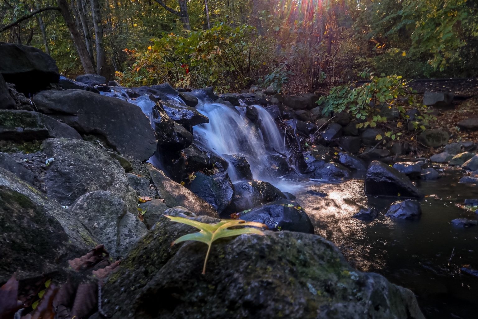 Top Spots to See Fall Foliage on Staten Island! - Staten Island ...