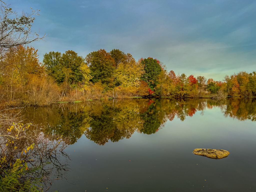 Top Spots to See Fall Foliage on Staten Island! - Staten Island ...