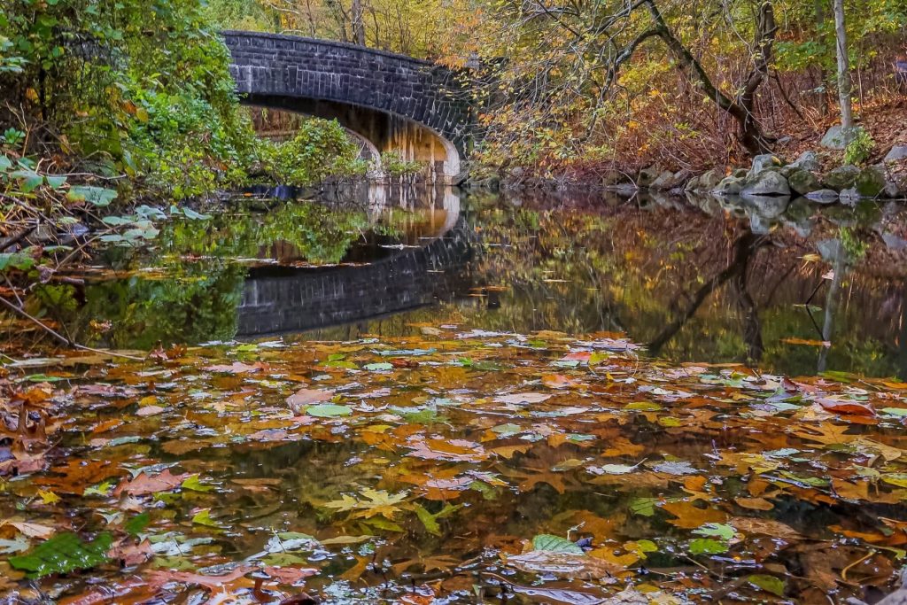 Top Spots to See Fall Foliage on Staten Island! - Staten Island ...