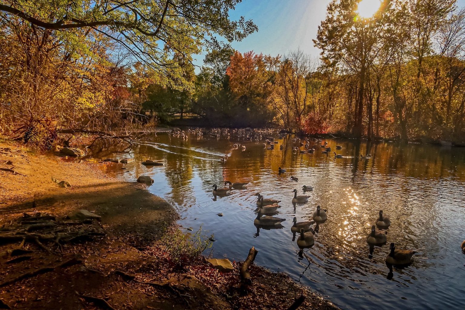 Top Spots to See Fall Foliage on Staten Island! - Staten Island ...